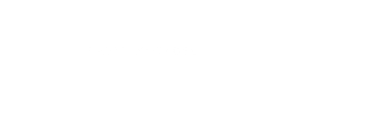 David Motadel
